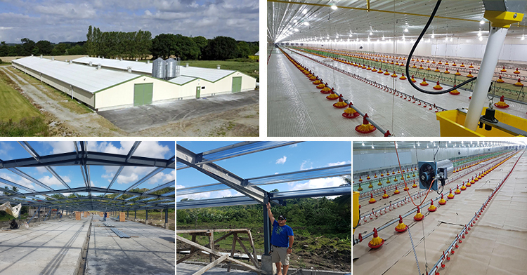 Custom China new design light prefab steel structure chicken house ...