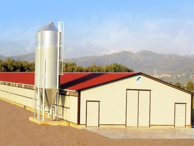 Steel poultry house/farm,Prefab chicken coop,Poultry farm shed